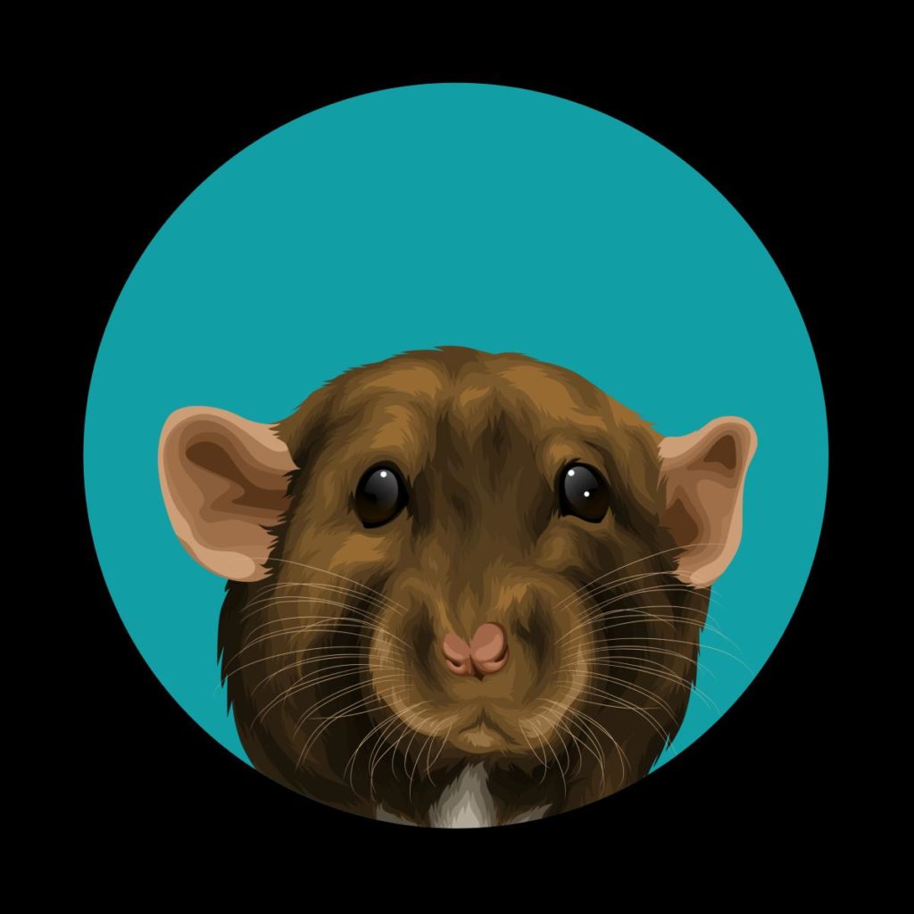 Animal Agents - Die offizielle Website zum Buch