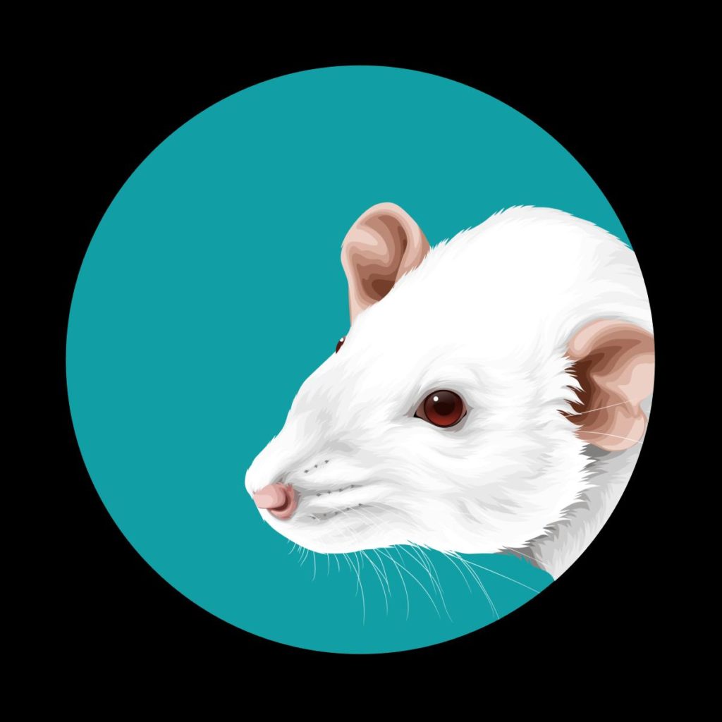 Animal Agents - Die offizielle Website zum Buch